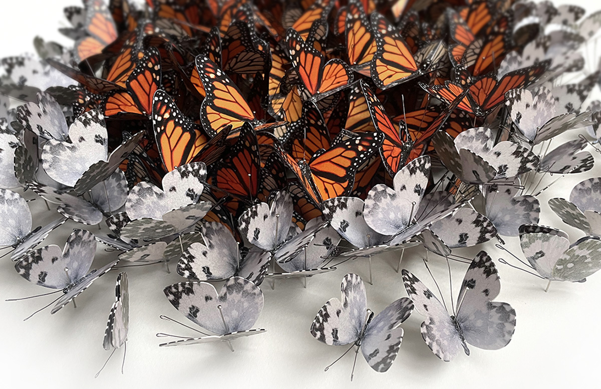 Monarch Butterfly Cluster